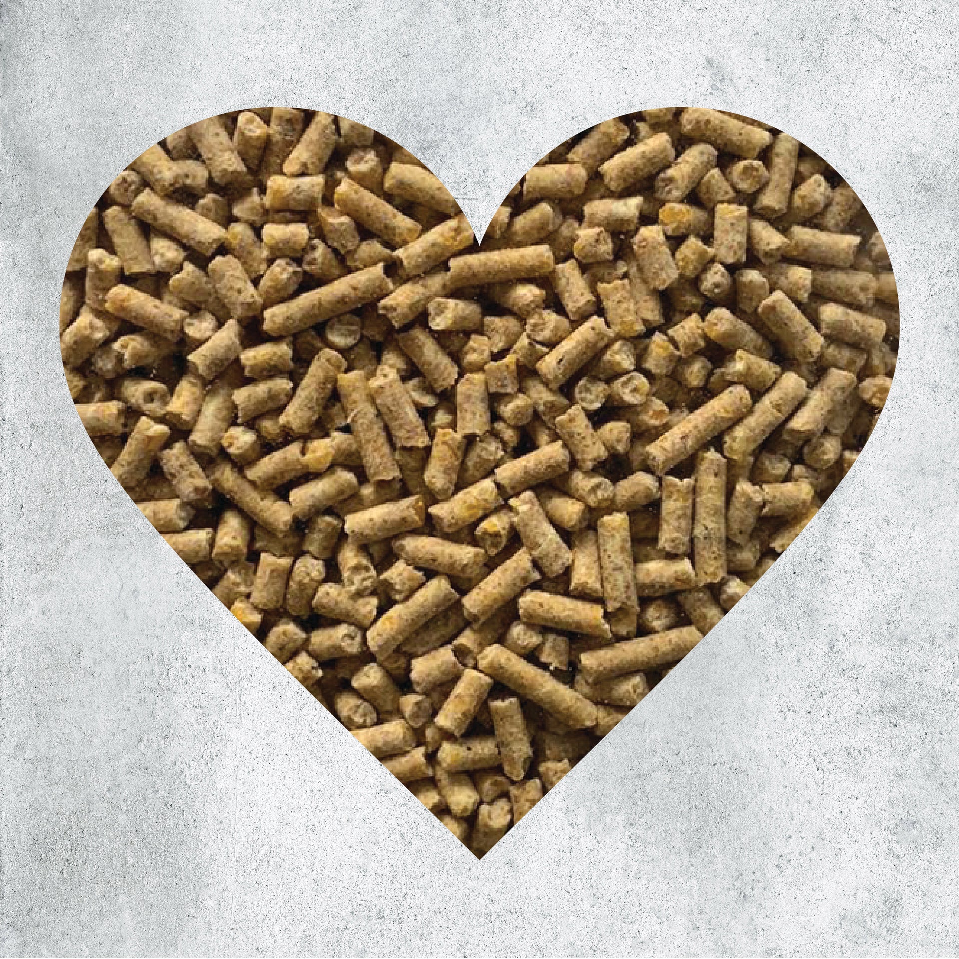 The Power of Mealworms: A Nutritional Superfood for Parrots – Nature's Nest