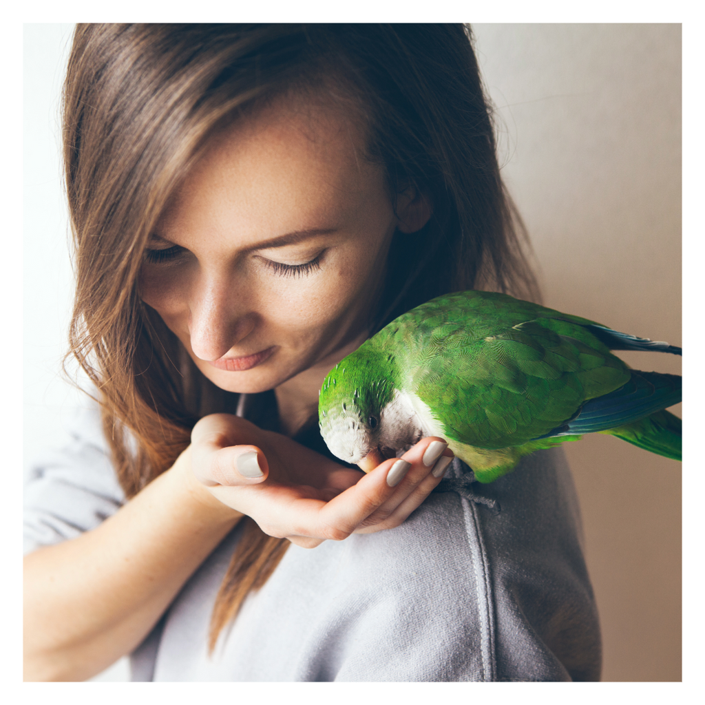 Ensuring Balanced Nutrition for Your Pet Birds: Overcoming Selective F ...